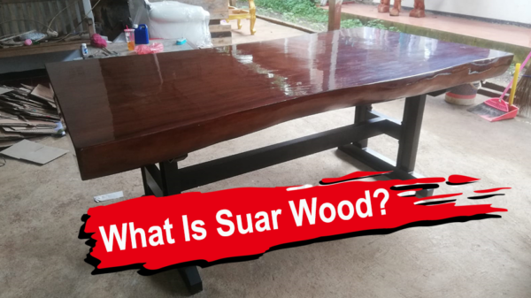 What Is Suar Wood? - Royalsuarwood.com